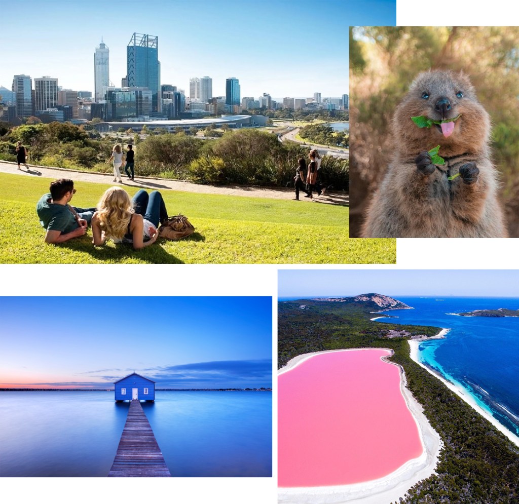 cityplus 2023 visitor info